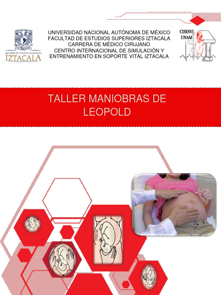 Manual Maniobras de Leopold | Descargar gratis PDF | El embarazo | Reproducción humana