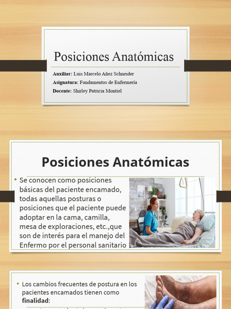 Posiciones Anatómicas | Descargar gratis PDF | Medicina | Enfermedades ...