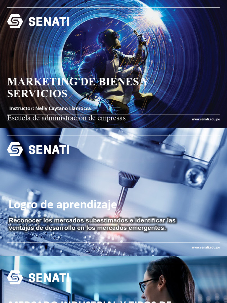 02 Bienes y Servicios | PDF | Bienes | Mercado (economía)