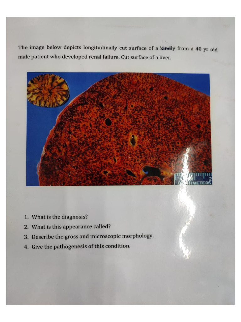 OSPE Spotter Charts PDF | PDF