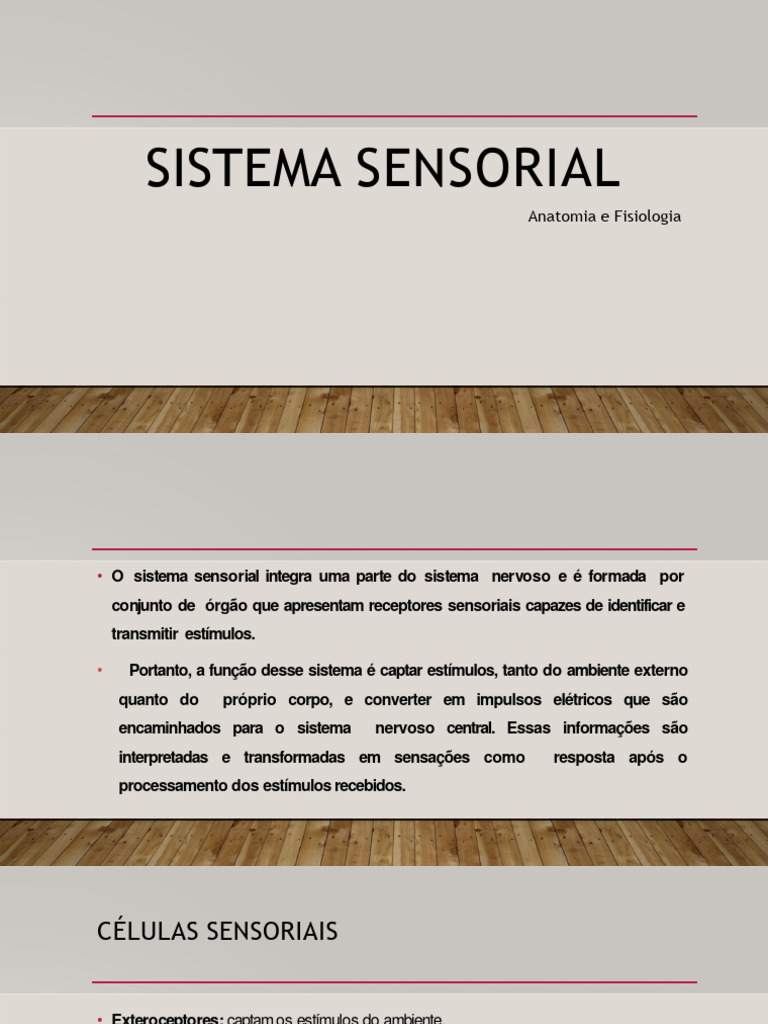 Sistema Sensorial | PDF | Estímulo (Fisiologia) | Sentidos