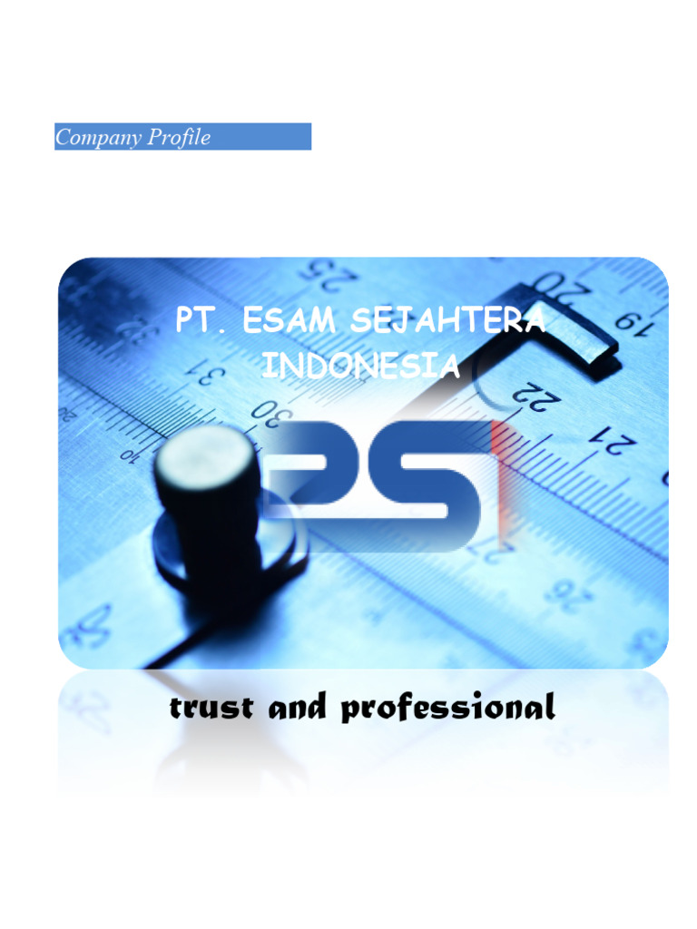 Company Profile Pt. Esam | PDF | Kesehatan Holistik