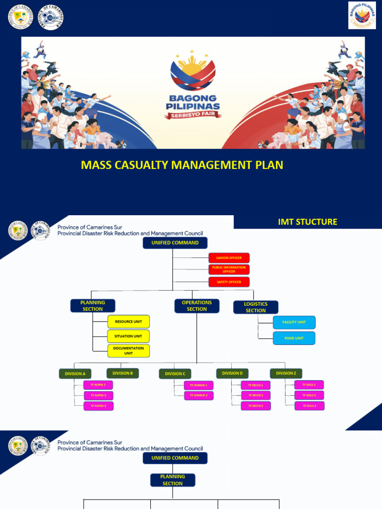 MCI Plan | PDF | Public Services | Safety