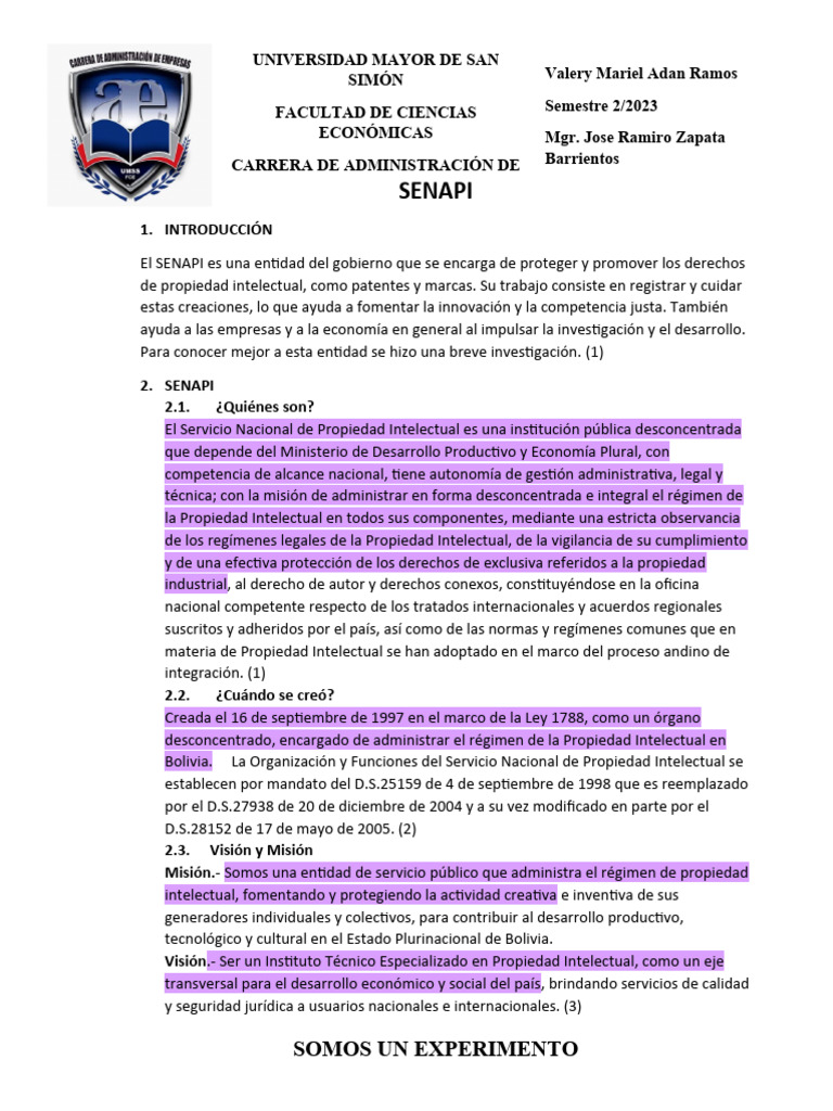 SENAPI | PDF | Propiedad intelectual | Patentar