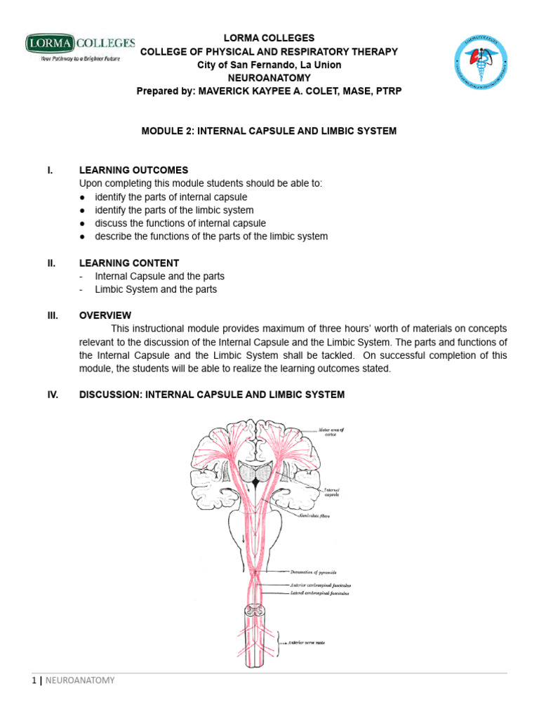Neuroana Mod5 Int Cap and Limbic System | PDF | Memory | Cerebral Cortex