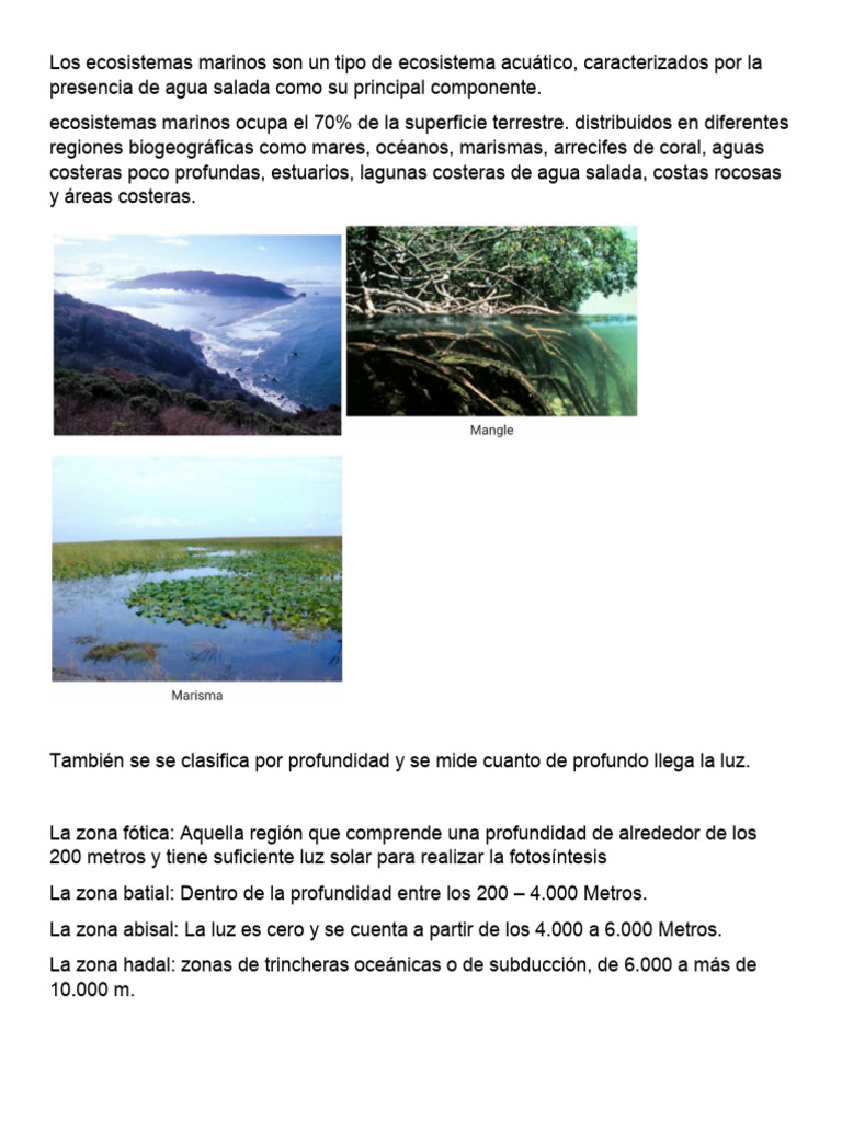 Ecosistema Marino | PDF