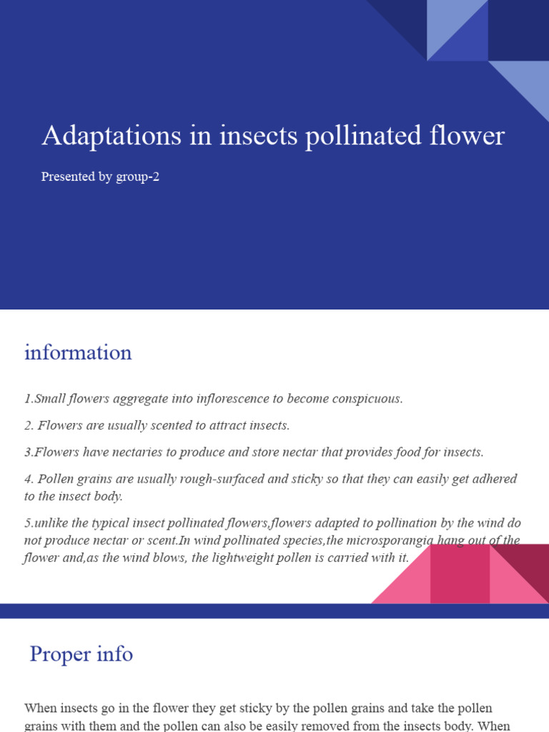 Adaptation in Insect Pollinated Flowers (1) | PDF
