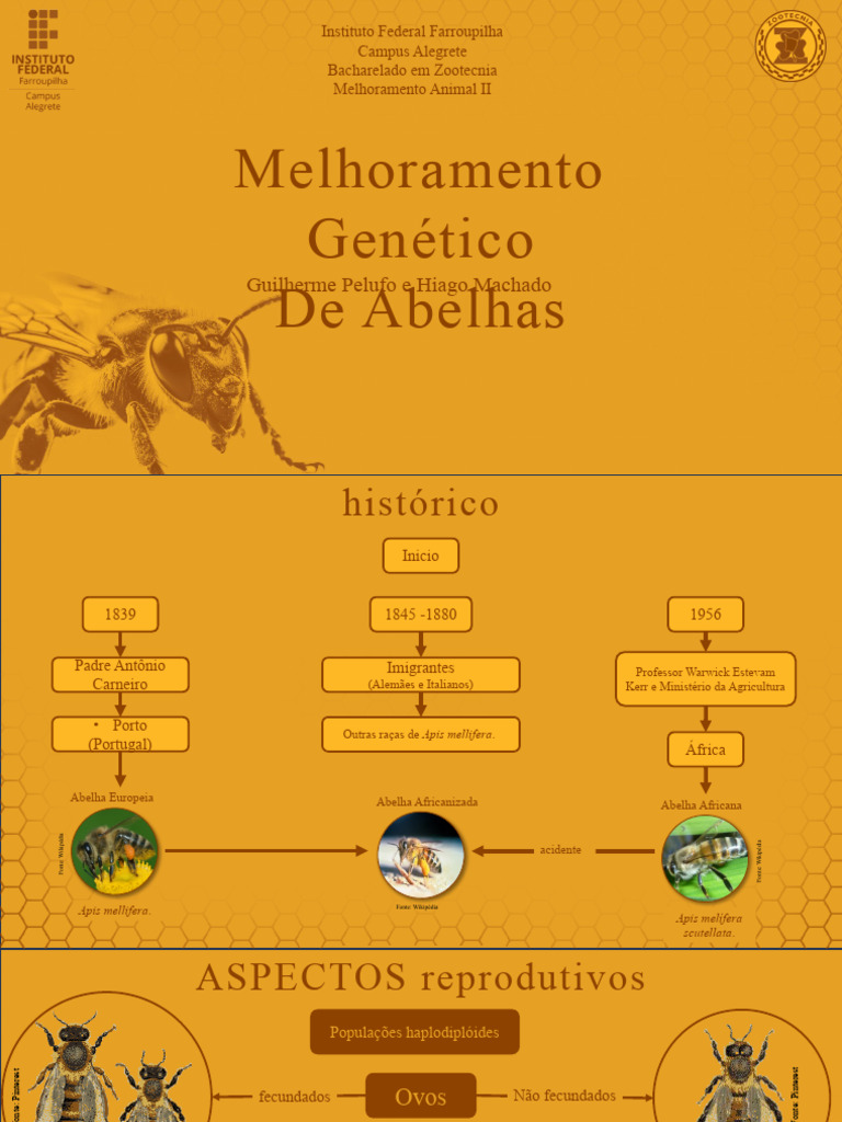 Melhoramento Genético de Abelhas | PDF | Abelhas | Abelha-europeia