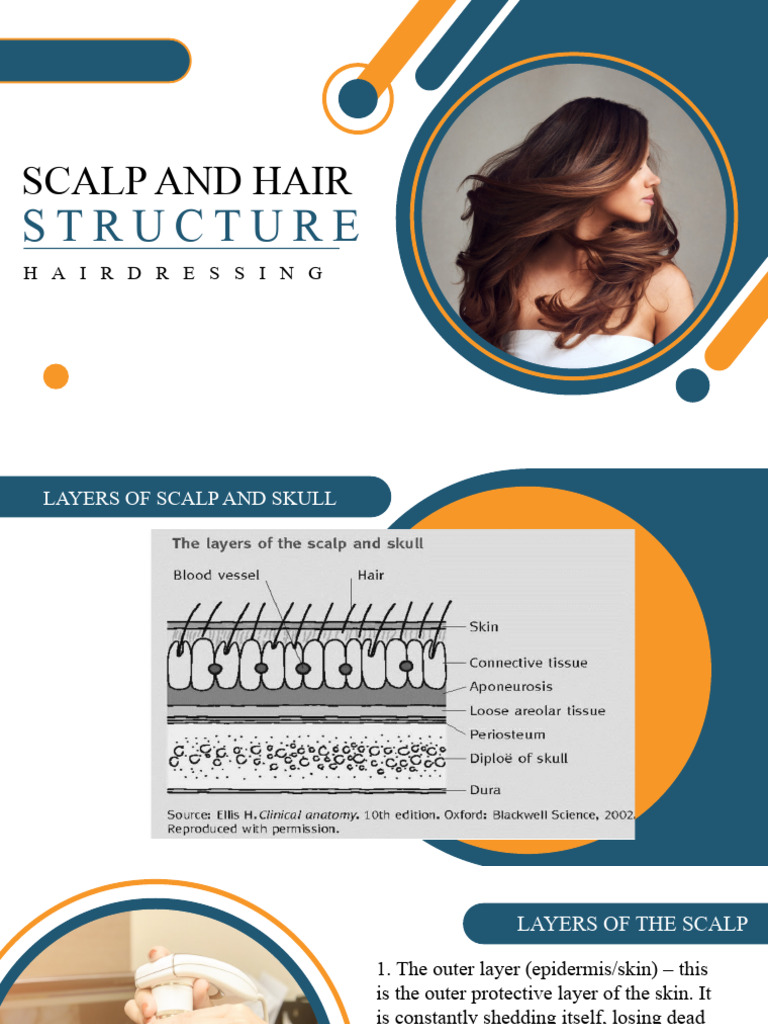 q2 Lesson 1 Scalp and Hair Structure | PDF