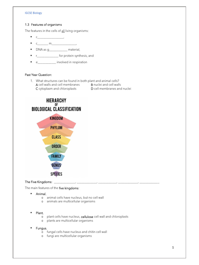 IGCSE Biology Study Guide | PDF | Cell (Biology) | Cell Wall