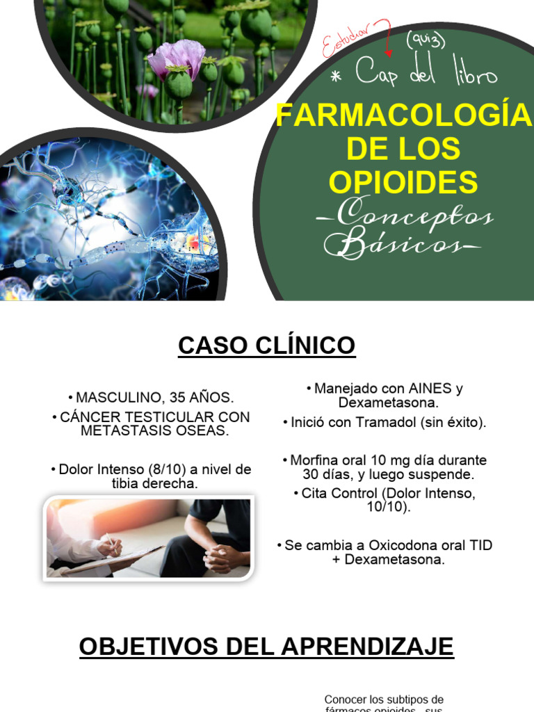 OPIOIDES | PDF | Opioide | Química medicinal