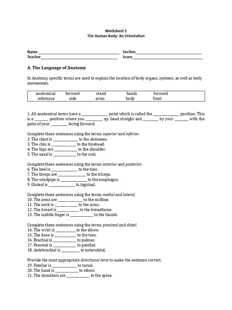 Worksheet 1 - Introduction To Human Body - An Orientation | PDF ...