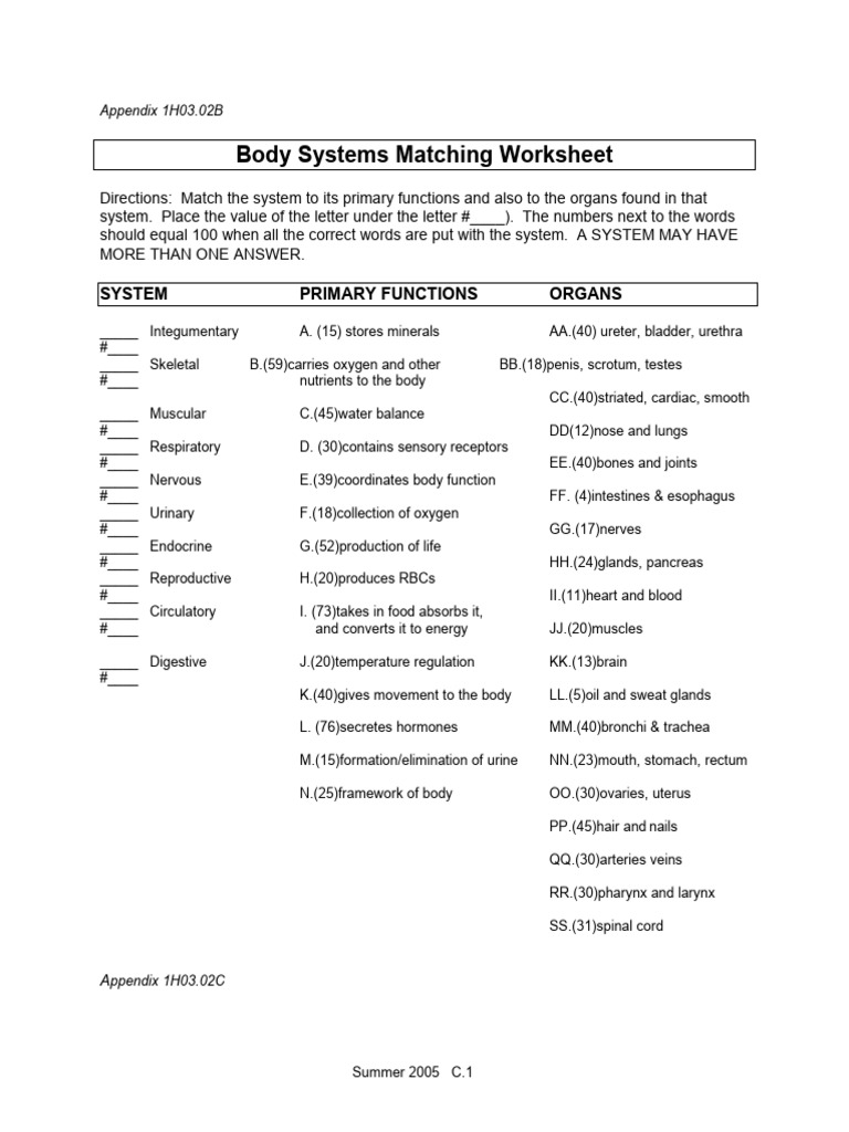 Body Systems Matching Worksheet | Download Free PDF | Human Body ...