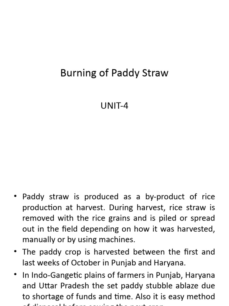 Burning of Paddy Straw | PDF | Exhaust Gas | Smog