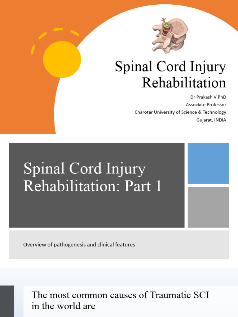 SCI Rehabilitation | PDF | Spinal Cord Injury | Injury