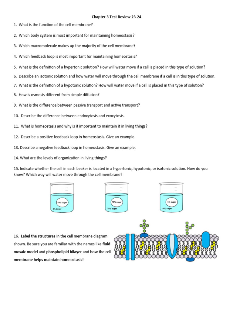 CH 3 Test Review 23-24 | PDF