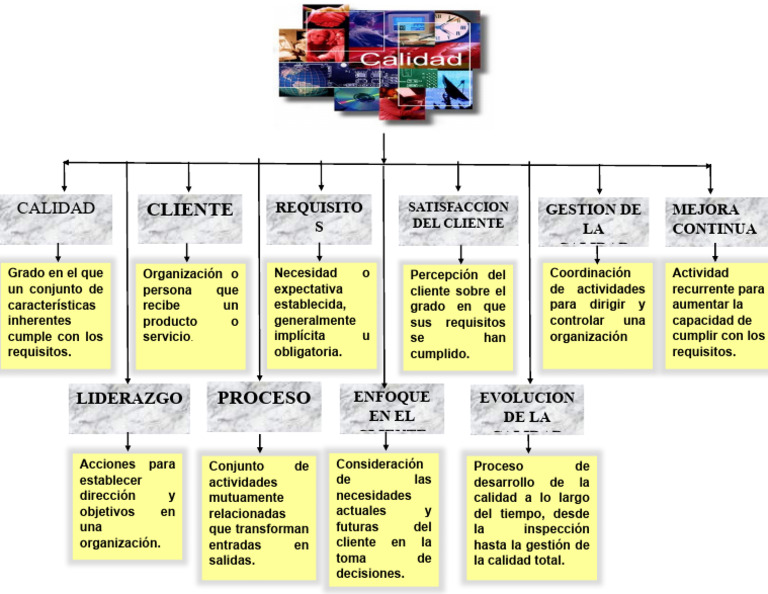 Mapa Conceptual de La Calidad | PDF