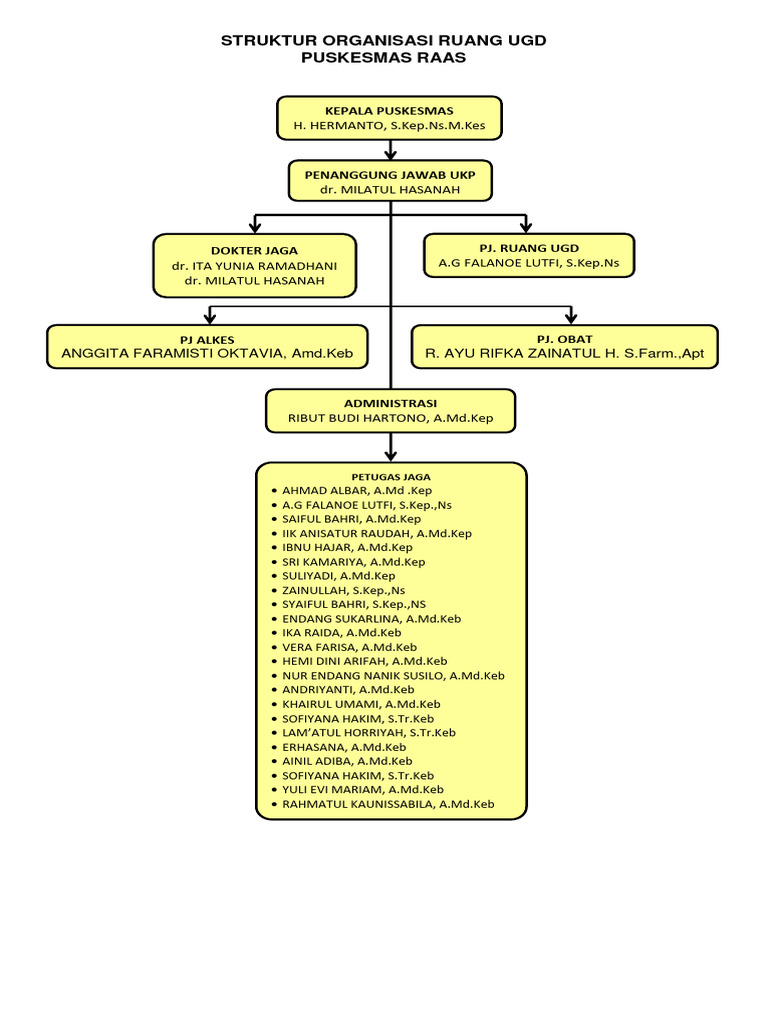 Struktur Organisasi Ruang Ugd | PDF