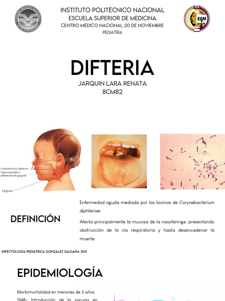 Difteria | PDF | Penicilina | Inmunología