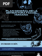 Musculos Periorbitarios y Perinasales | PDF | Cabeza y cuello humanos ...