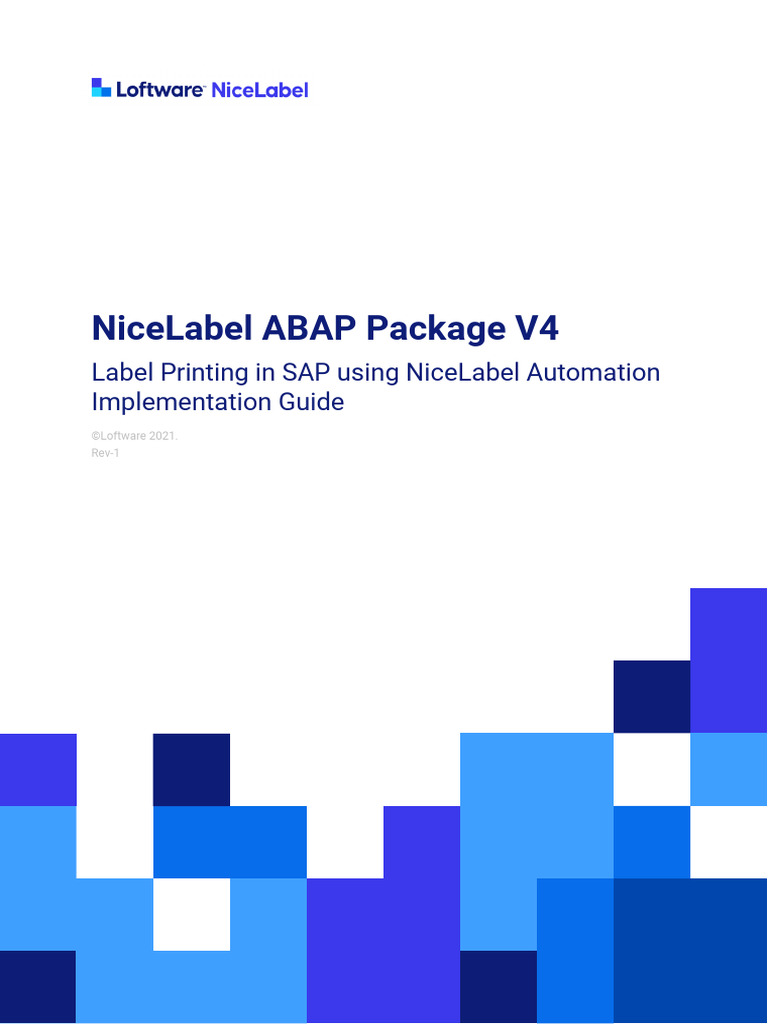 NiceLabel ABAP Package V4 - Implementation Guide | PDF | Port (Computer Networking) | World Wide Web