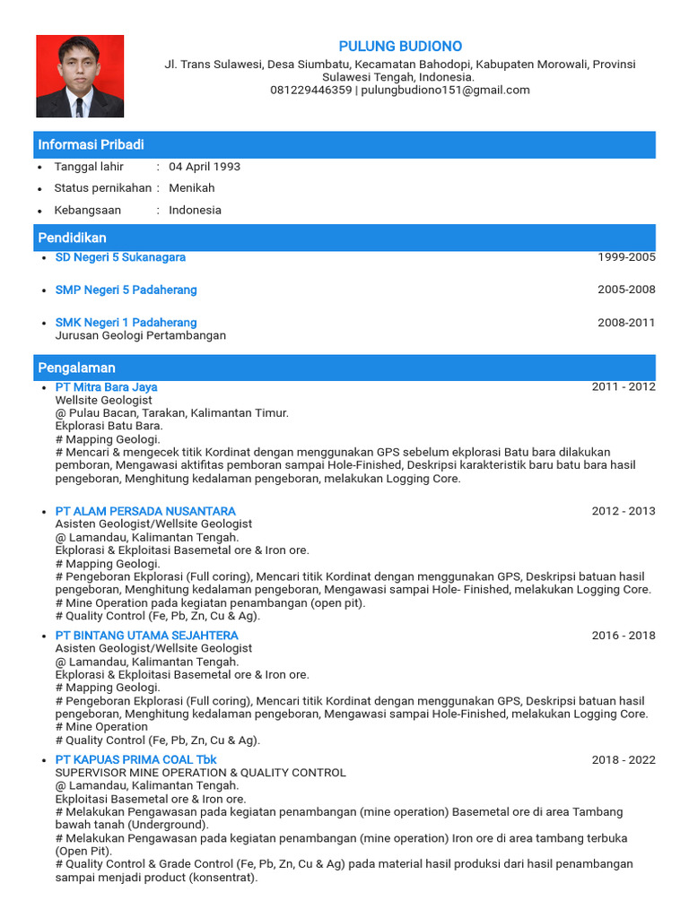 Profil Karir Pulung Budiono | PDF