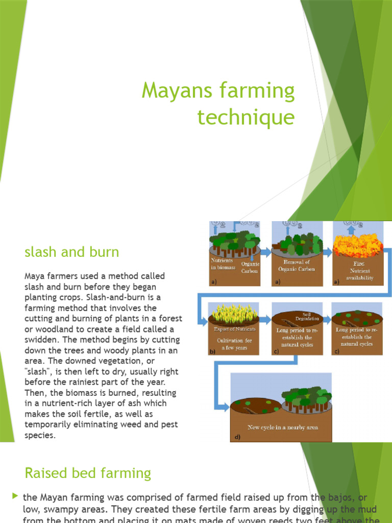 Mayans Farming Technique | PDF