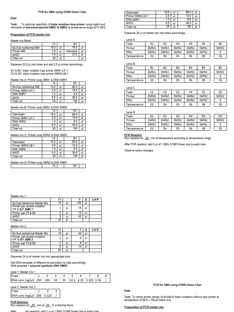 Pcr For Sybr Green Pdf Primer Molecular Biology Polymerase Chain Reaction