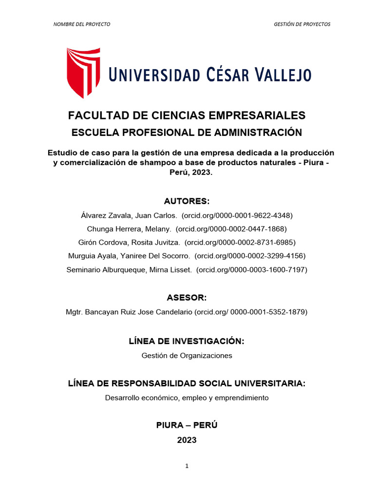 Esquema Del Proyecto - GP 2023 2 | PDF | Marketing | Comercio electrónico