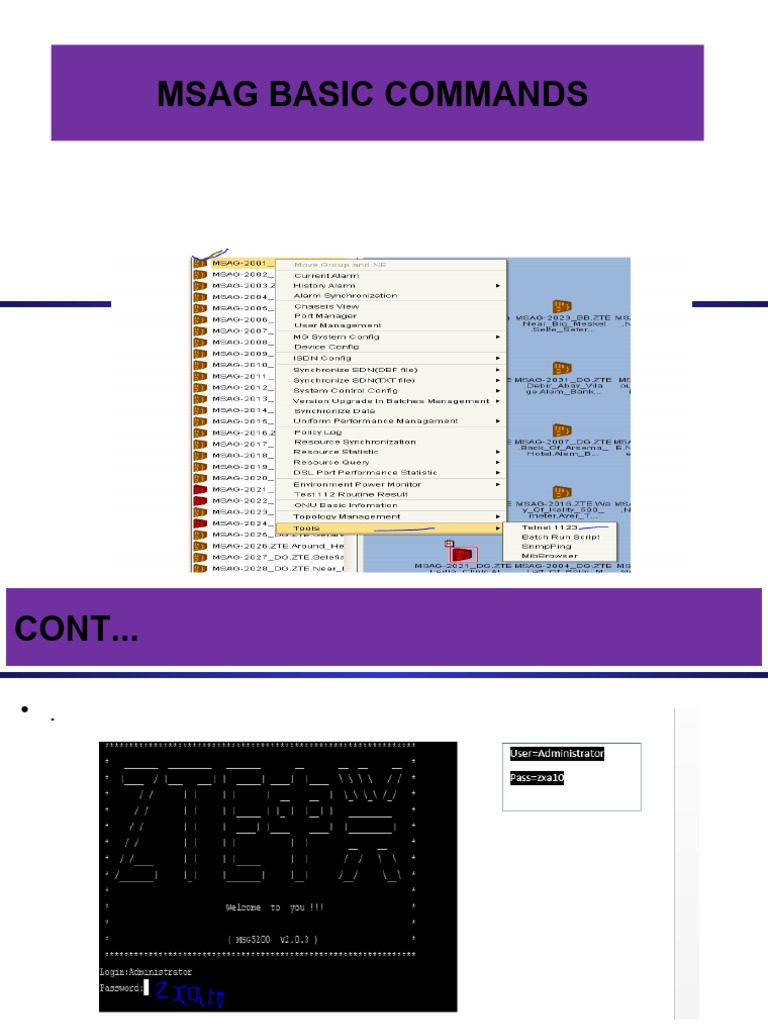 MSAG Basic Commands | PDF