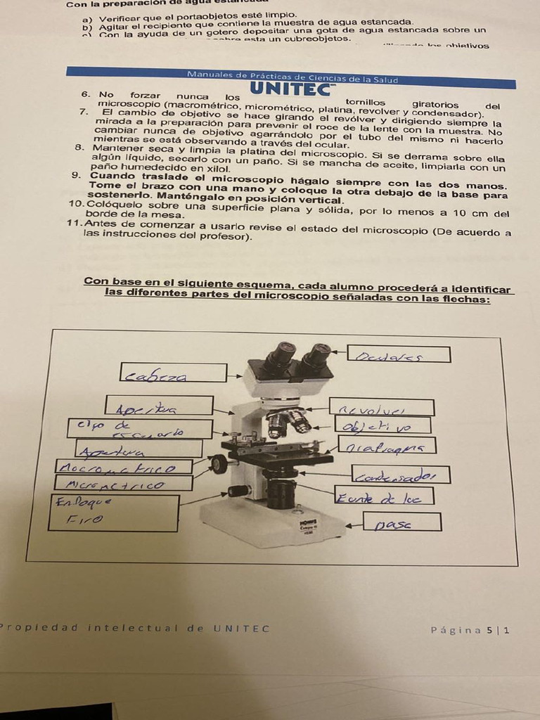 Juu | PDF