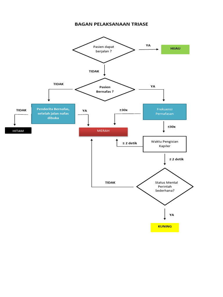 Bagan Alur Triase | PDF