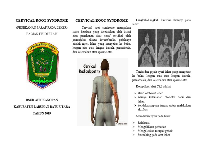 Panduan Fisioterapi Sindrom Servikal | PDF