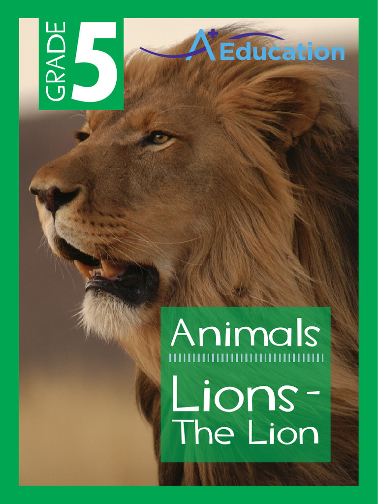 AnimalsLionsTheLionGrade5 1 | PDF | Lion | Hunting