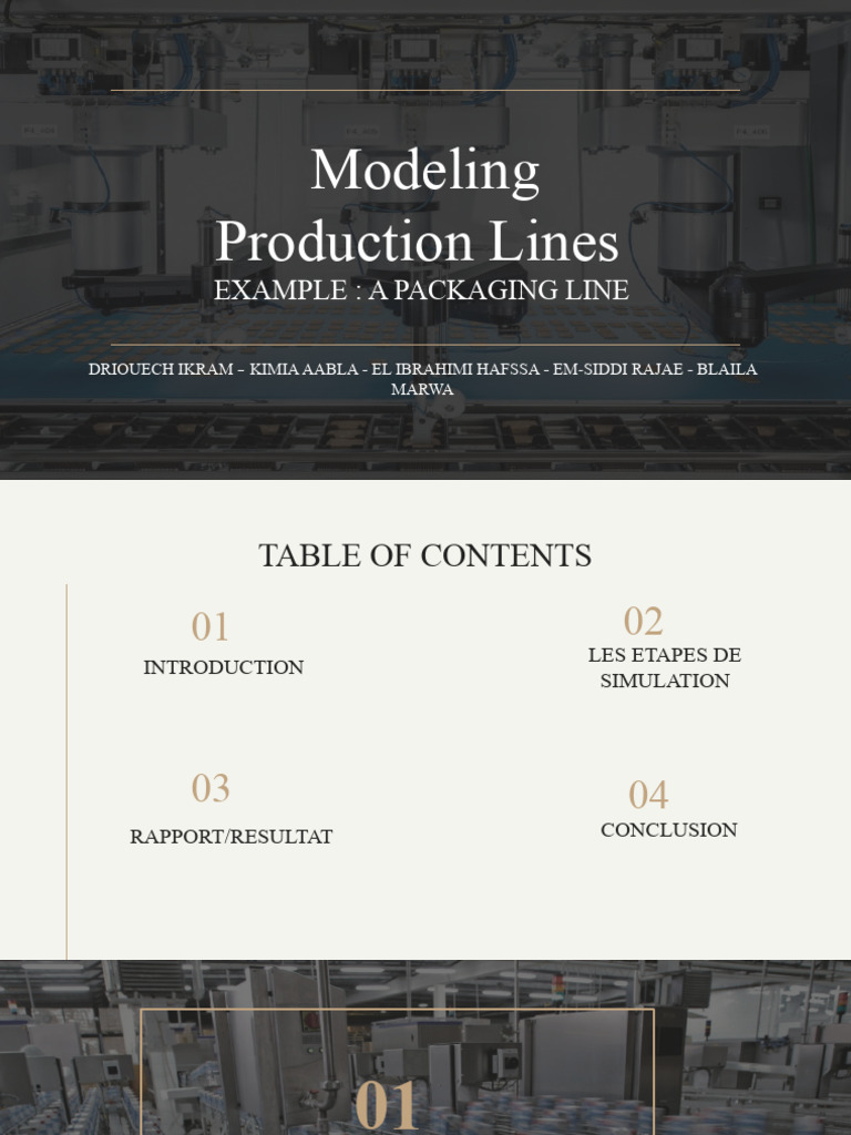 Arena PPT Packaging Line Modifiable | PDF