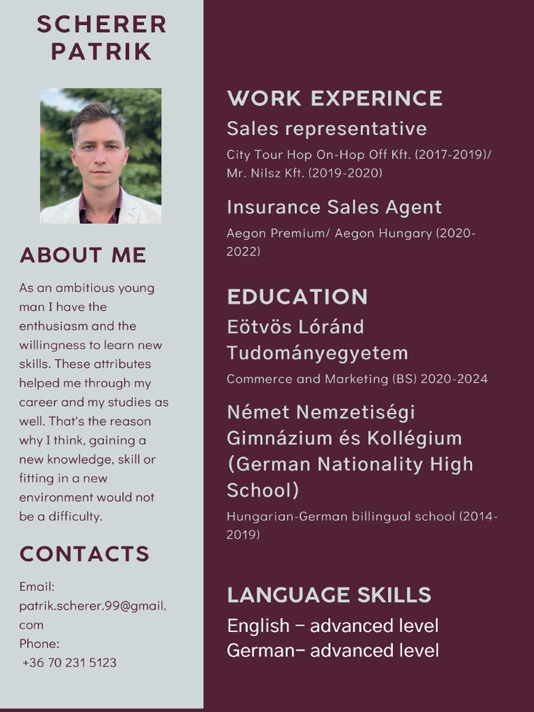 Scherer Patrik CV | PDF