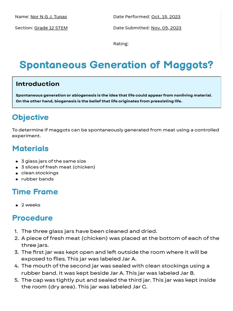 Spontaneous Generation of Maggots | PDF | Experiment