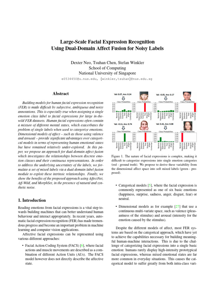 Large-Scale Facial Expression Recognition Using Dual-Domain Affect Fusion For Noisy Labels | PDF ...