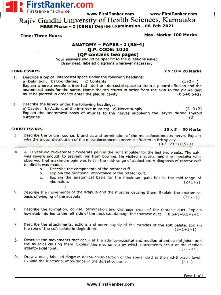Anatomy Paper 1 | PDF | Vein | Anatomy