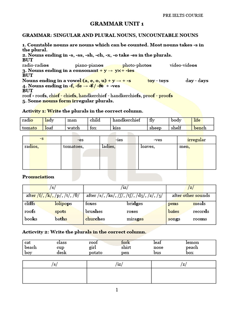 Grammar Unit 1 | PDF | Plural | Noun