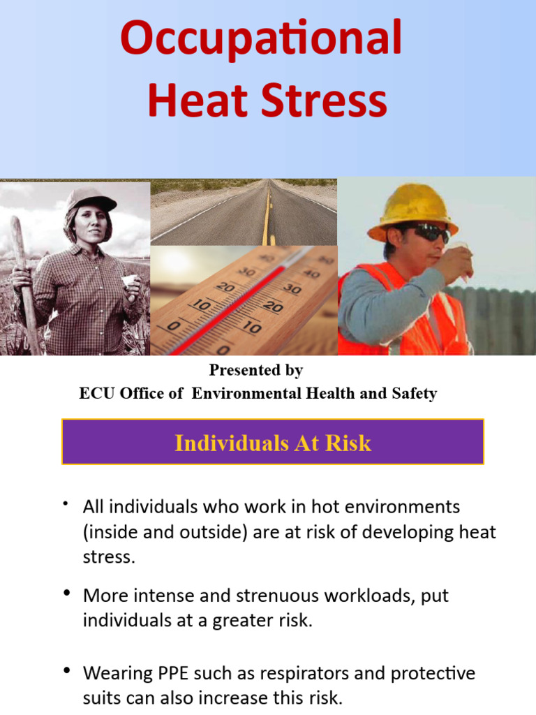 Heat Stress | PDF | Hyperthermia | Perspiration