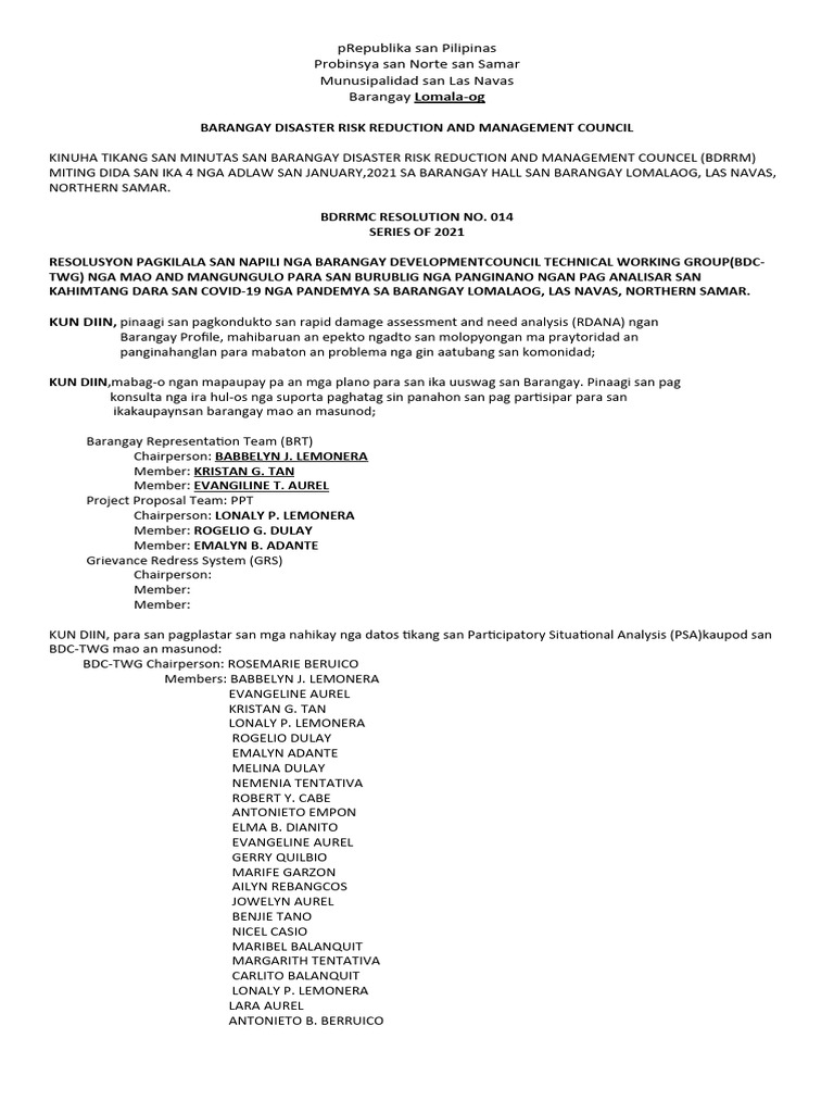 BDRRMC Resolution | PDF