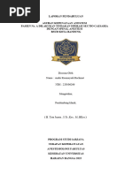 Panduan Lengkap Suntik Epidural | PDF