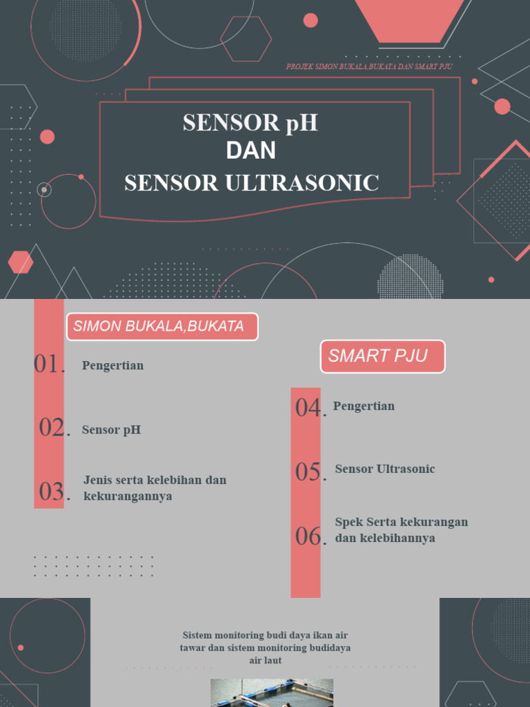 Julian Fadel.y Simon Bukala, Bukata Smart PJU | PDF | Sains & Matematika