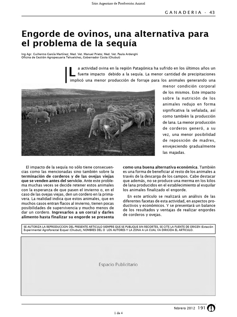 Tabla Articuloovinos-Engorde - Patagonia | PDF | Oveja | Alimentos