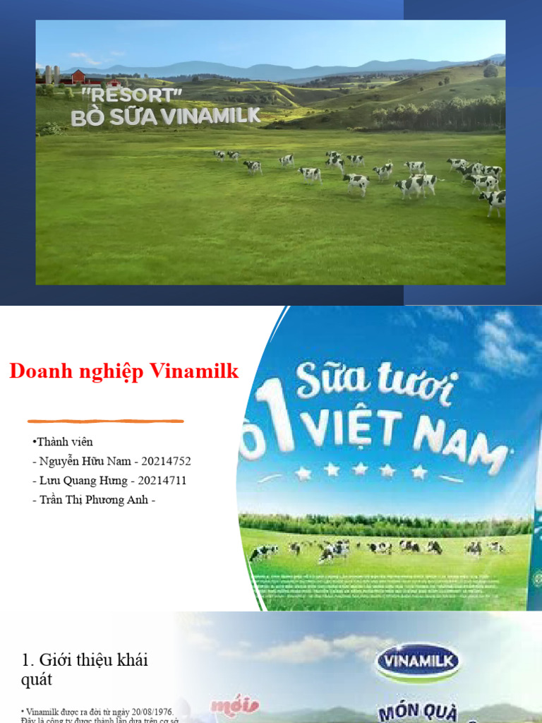 Vinamilk PP | PDF