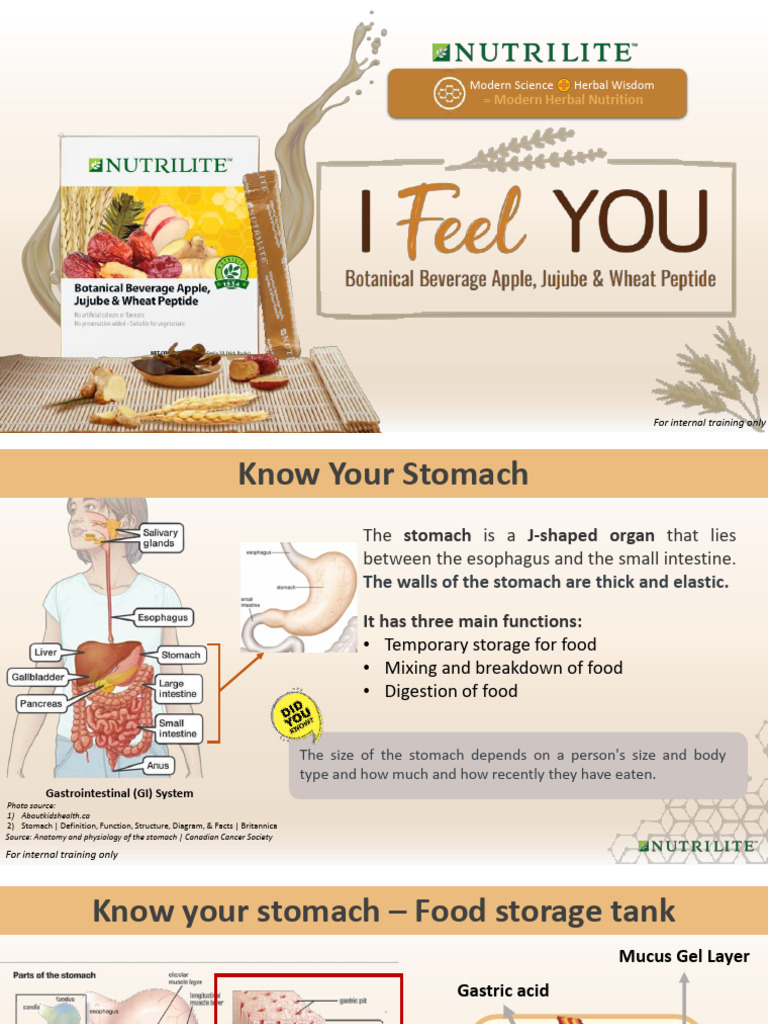 NUTRILITE Apple Jujube WheatPeptide en | PDF | Bloating | Stomach