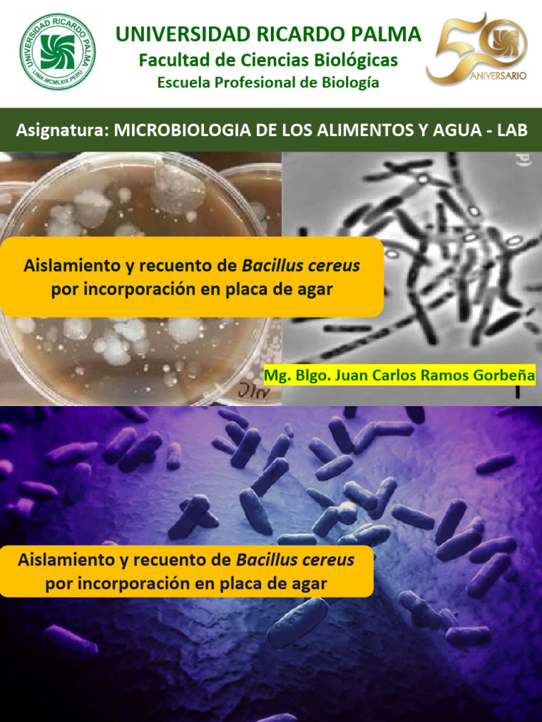 Aislamiento y recuento de Bacillus cereus por incorporación AV 2020 URP ...