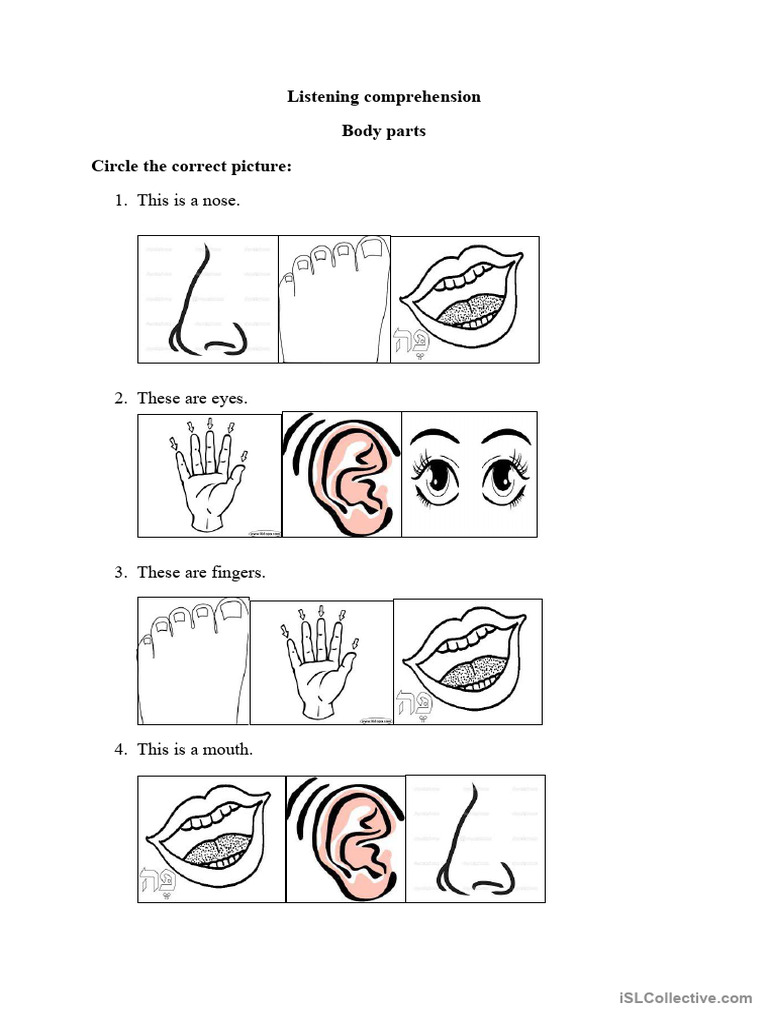 Printable Body Parts Worksheet