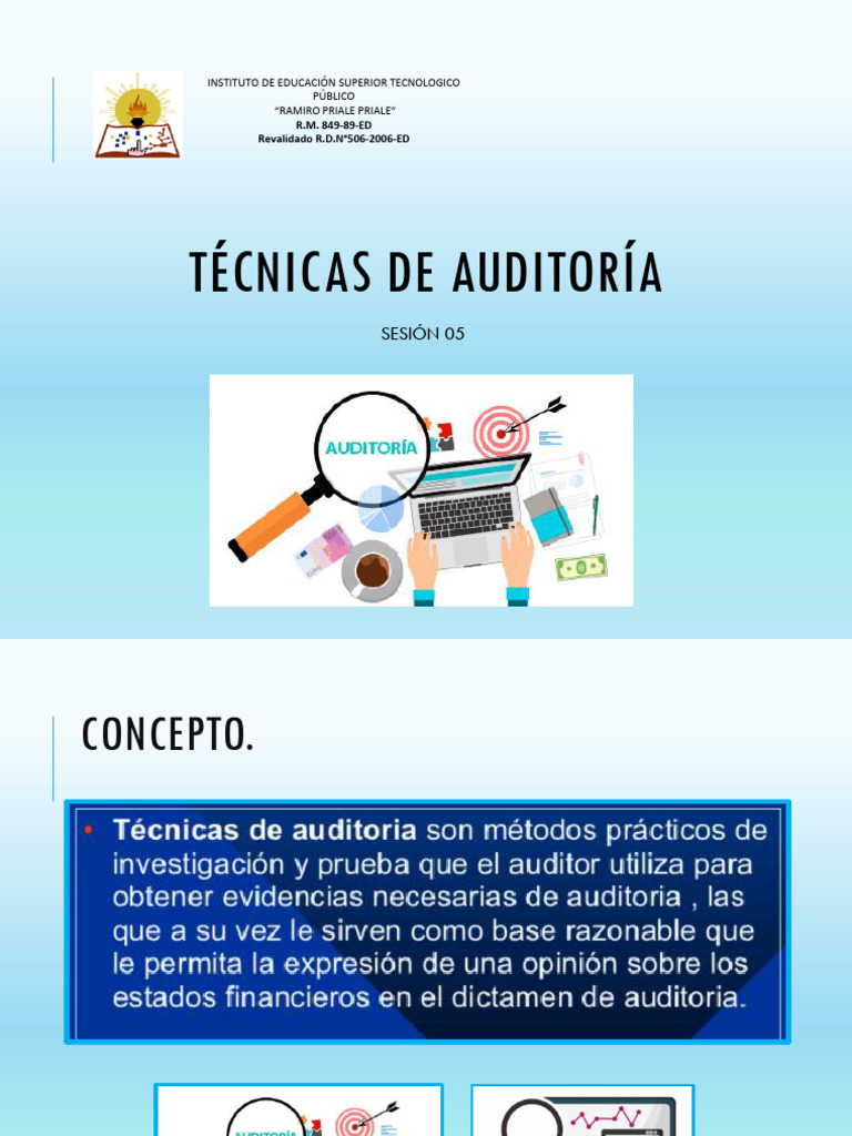 sesión 5 Técnicas de Auditoría | PDF | Auditoría | Business